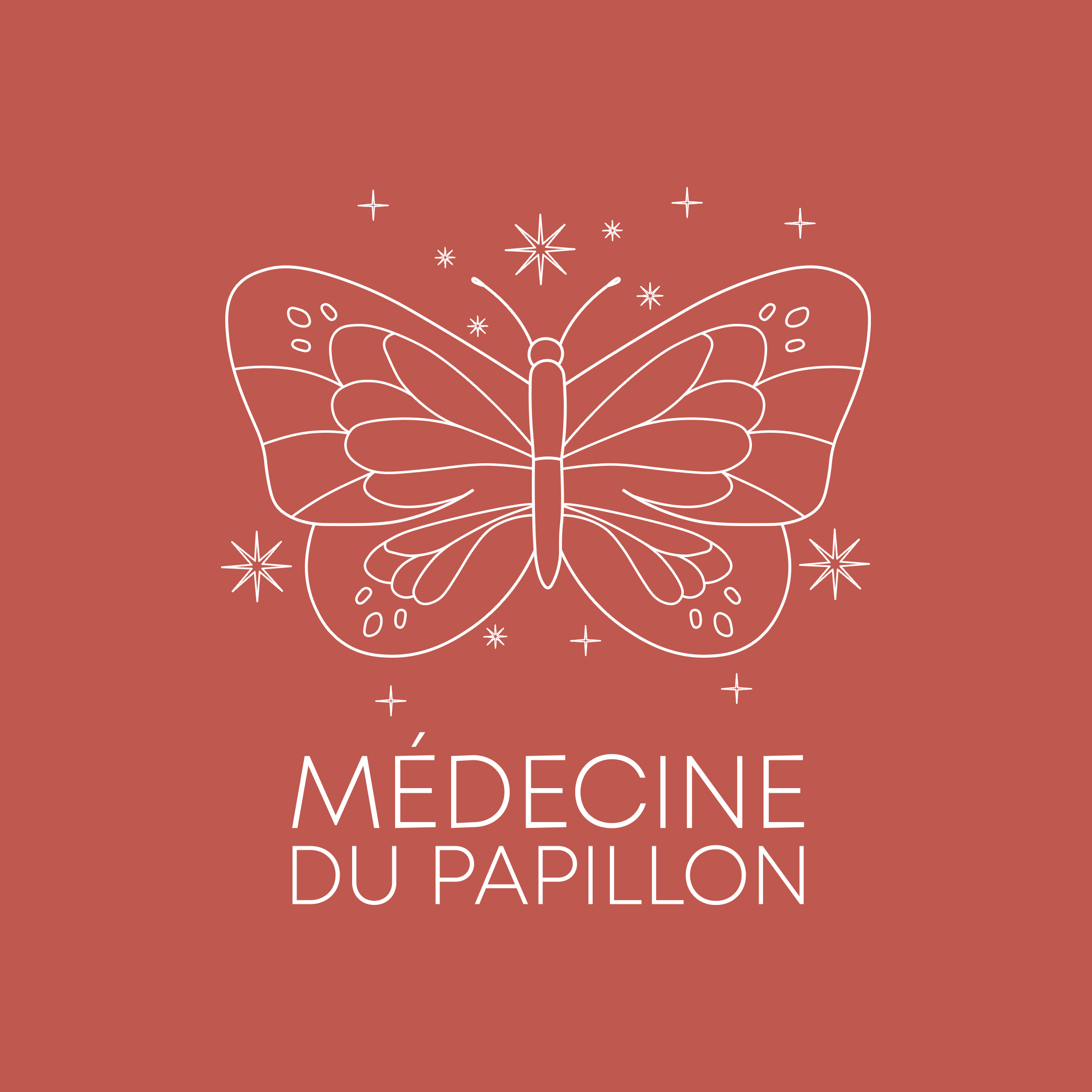 Natural and organic products, with dried flowers • Butterfly medicine ...